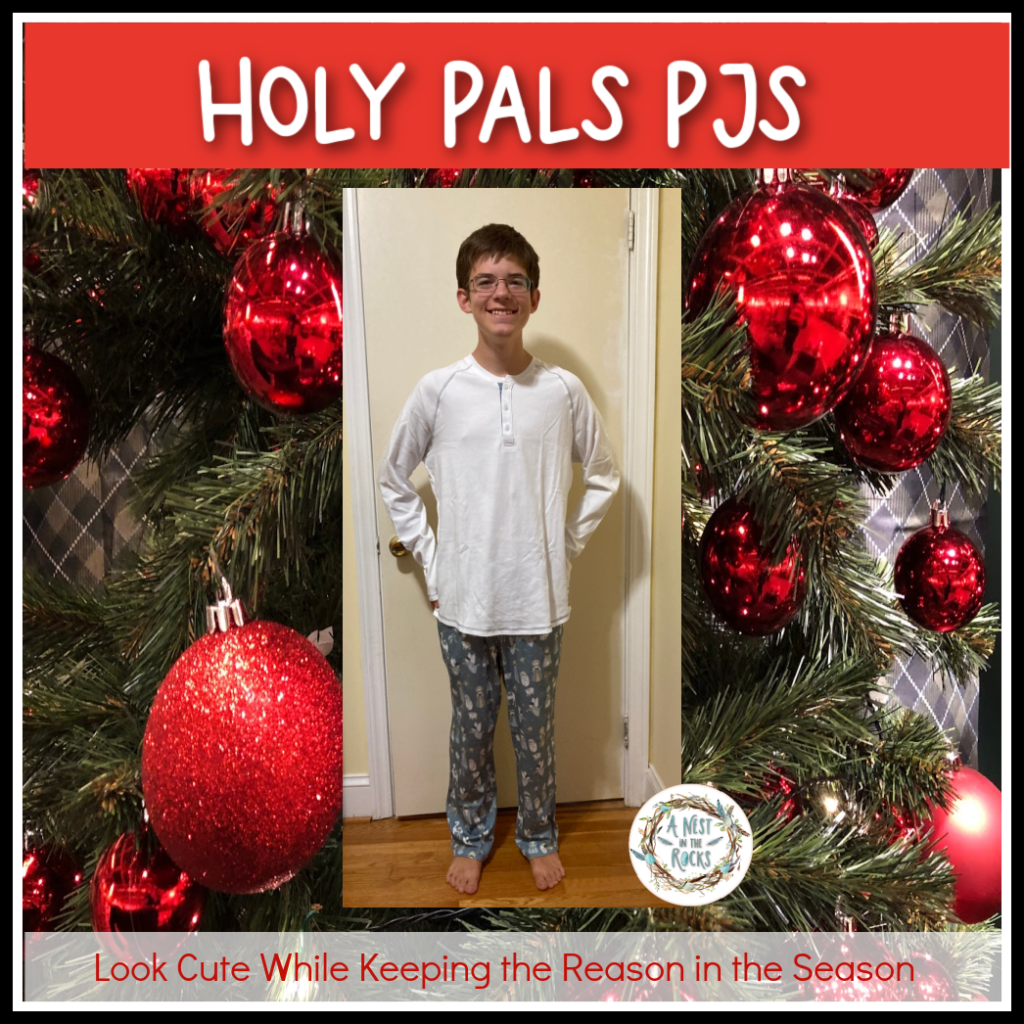 How to Tell the Christmas Story with Holy Pals - A Nest in the Rocks