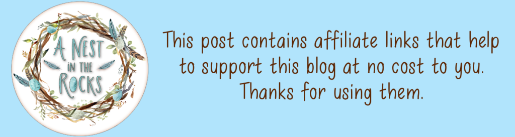 New! When We Flew Away by Alice Hoffman - Review - A Nest in the Rocks